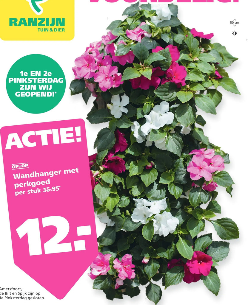 Wandhanger met perkgoed aanbieding bij Ranzijn