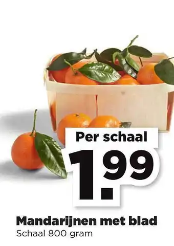 Mandarijnen Met Blad 800gram aanbieding bij PLUS