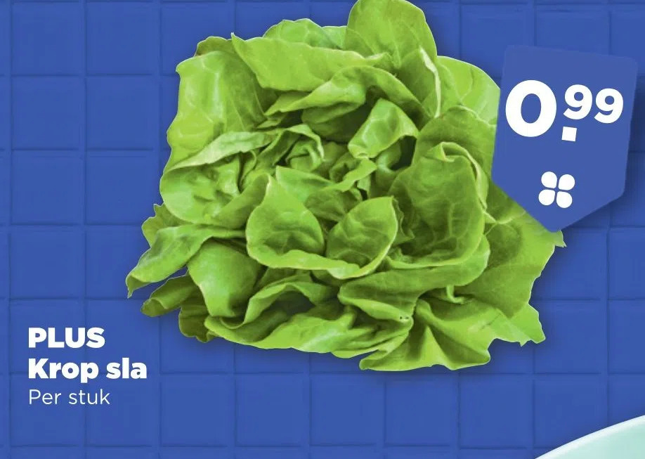 Plus krop sla aanbieding bij PLUS