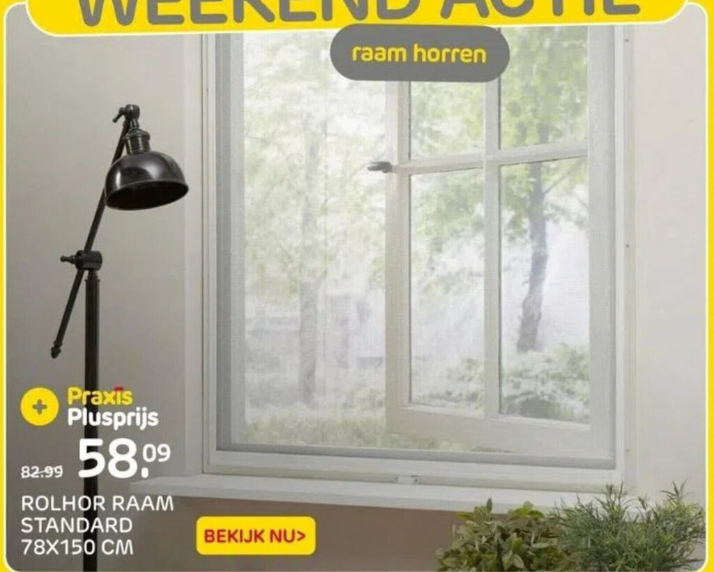 ROLHOR RAAM STANDARD aanbieding bij Praxis