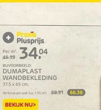 Dumaplast wandbekleding aanbieding bij Praxis