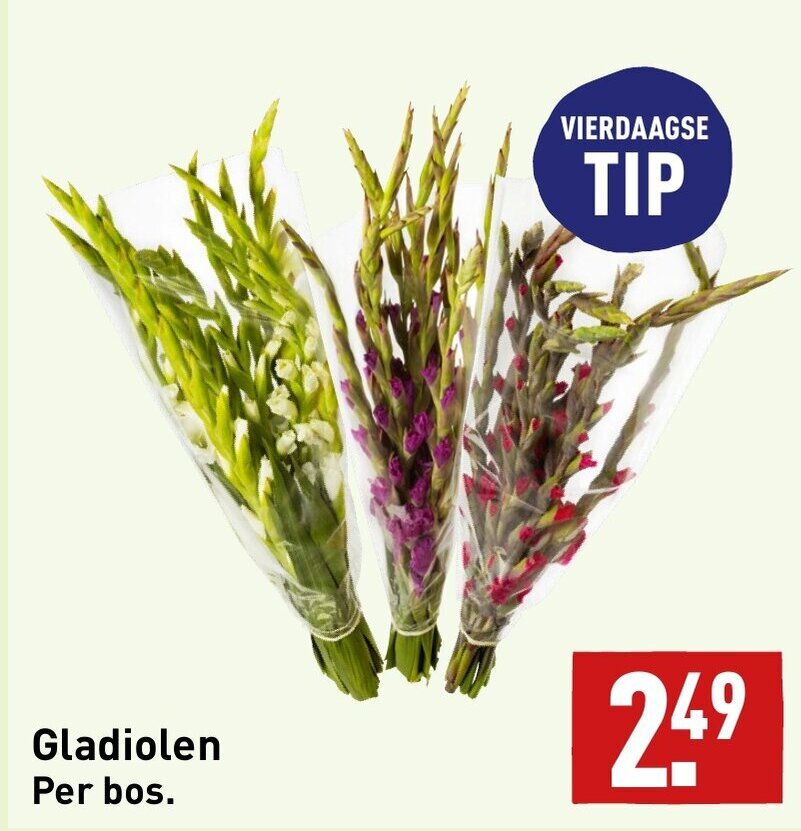 Gladiolen Per bos. aanbieding bij ALDI