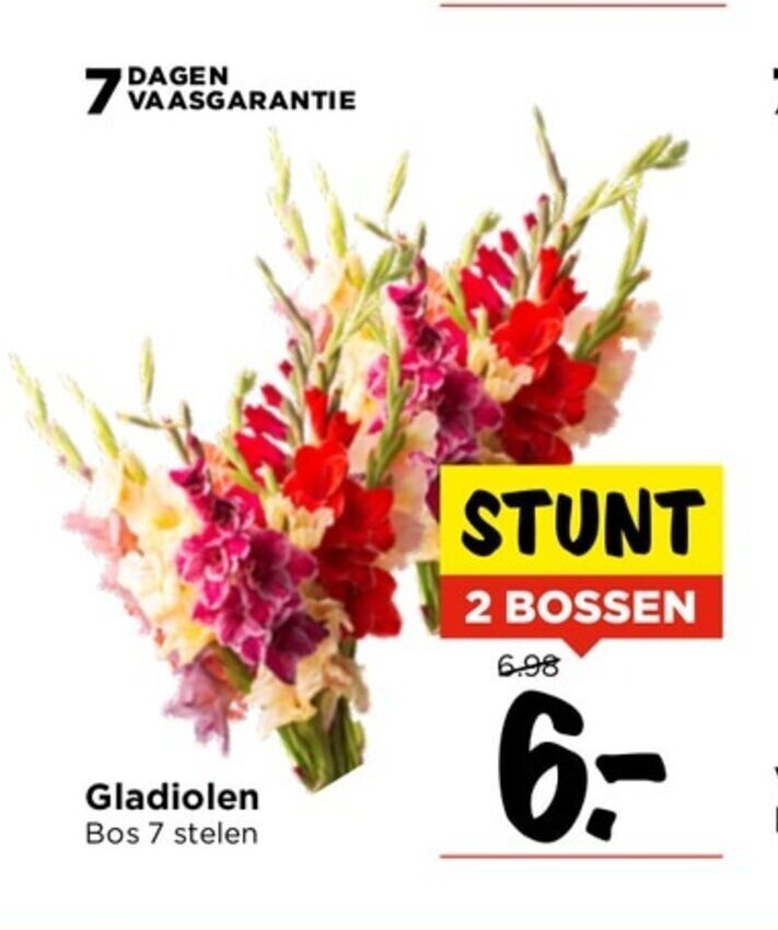 Gladiolen Bos 7 stelen aanbieding bij Vomar