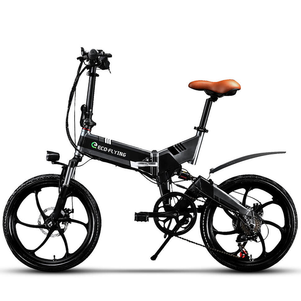 Elektrische fiets hi-flying f501 250w-36v-8ah (288wh) - 20 wiel ...