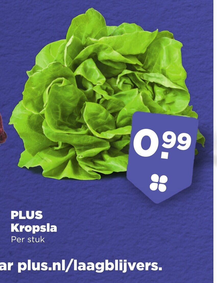 PLUS Kropsla aanbieding bij PLUS