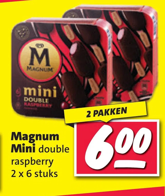 Magnum mini double raspberry aanbieding bij Nettorama