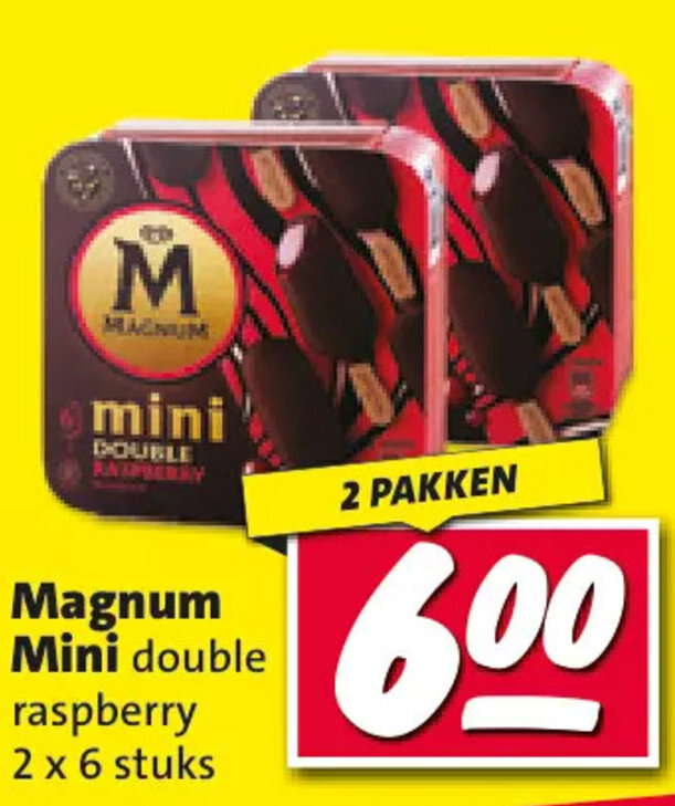 Magnum Mini double raspberry 2 x 6 stuks aanbieding bij Nettorama