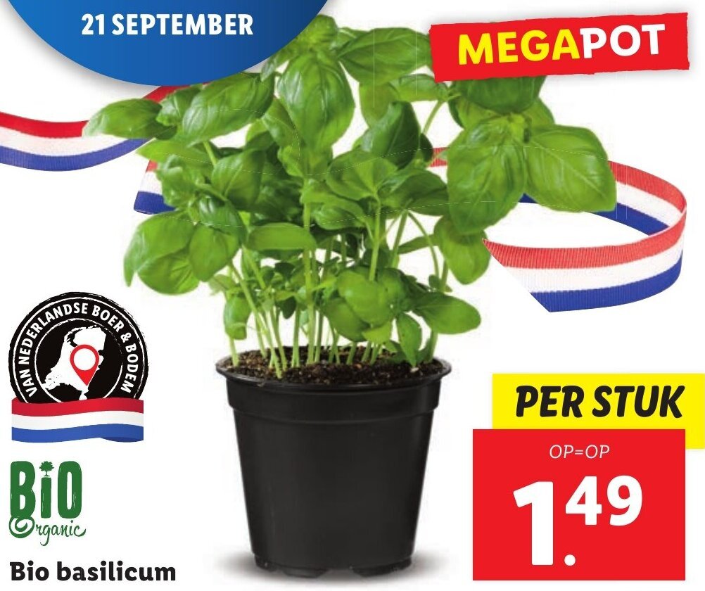 Bio basilicum aanbieding bij Lidl