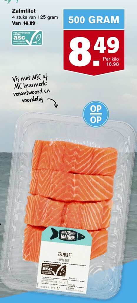 Zalmfilet 500g aanbieding bij Hoogvliet