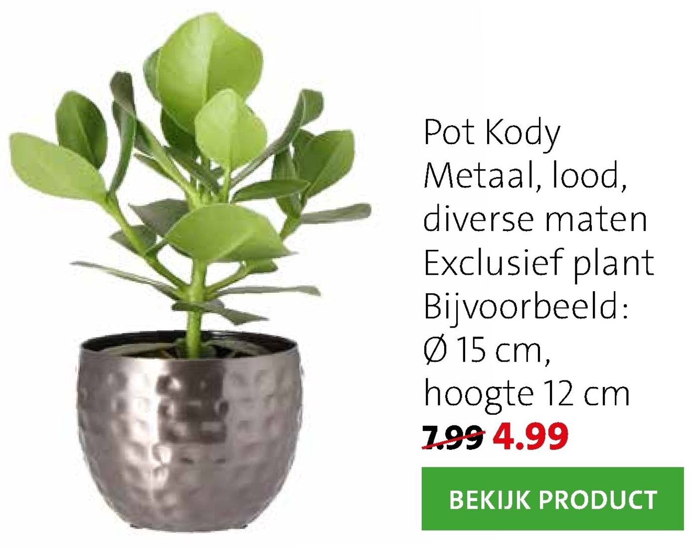 Pot Kody Metaal, lood, diverse maten Exclusief plant Bijvoorbeeld ...