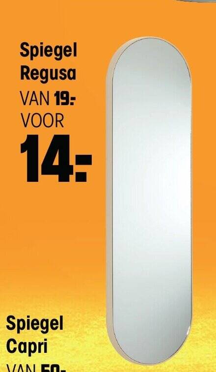 Spiegel Regusa aanbieding bij Kwantum