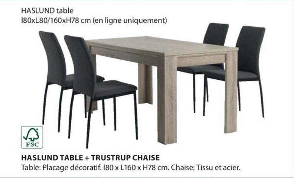 HASLUND TABLE + TRUSTRUP CHAISE aanbieding bij Jysk