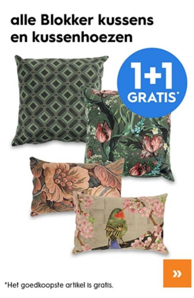 alle Blokker kussens en kussenhoezen 1+1 GRATIS aanbieding bij Blokker