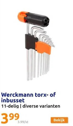 Werckmann torx- of inbusset aanbieding bij Action