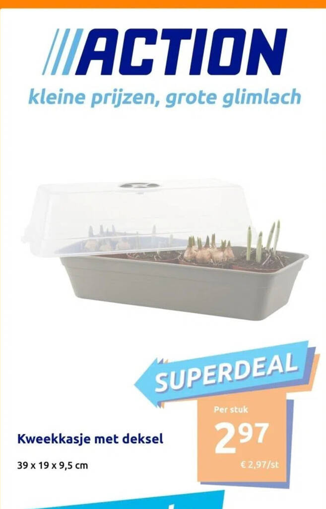 Kweekkasje met deksel 39 x 19x9.5 cm aanbieding bij Action