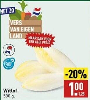 Witlof 500 g. aanbieding bij ALDI
