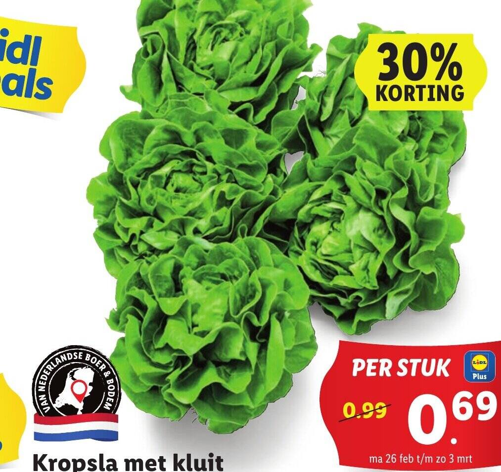Kropsla met kluit aanbieding bij Lidl