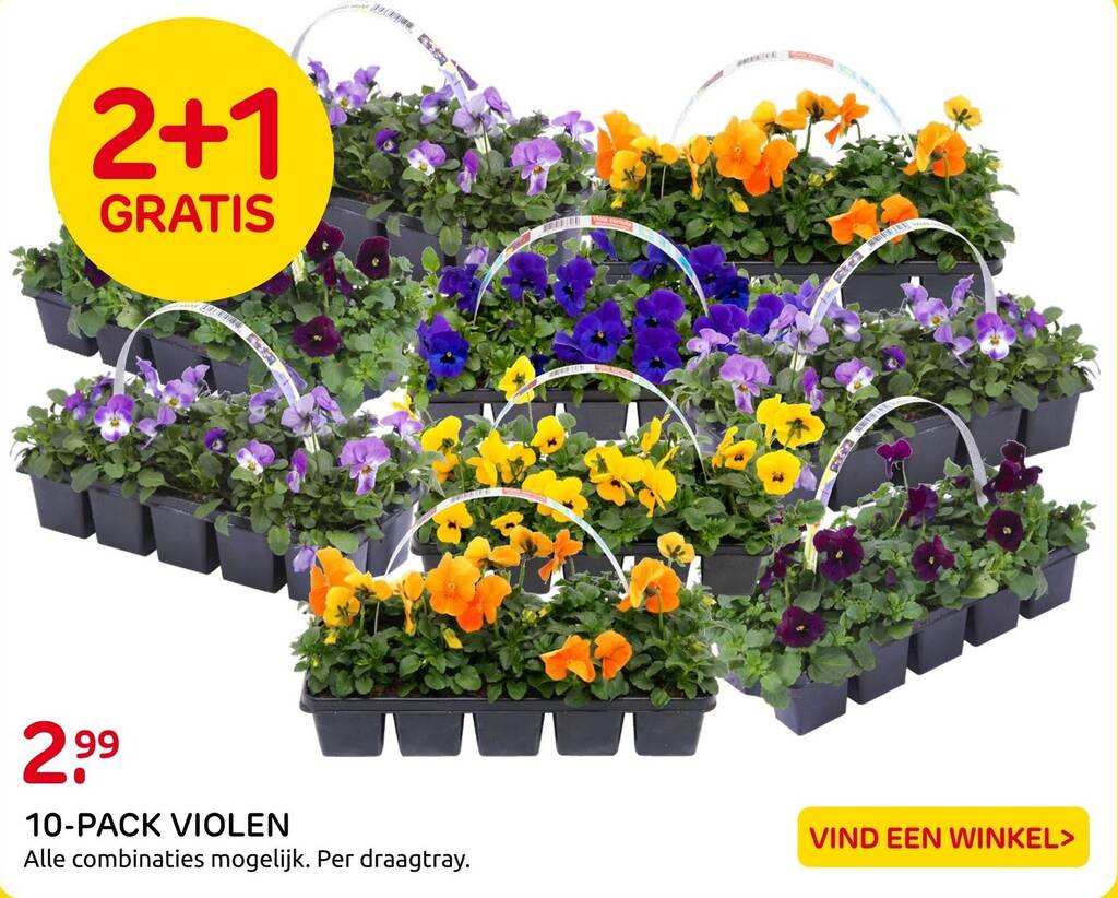 10-PACK VIOLEN 2+1 gratis aanbieding bij Praxis