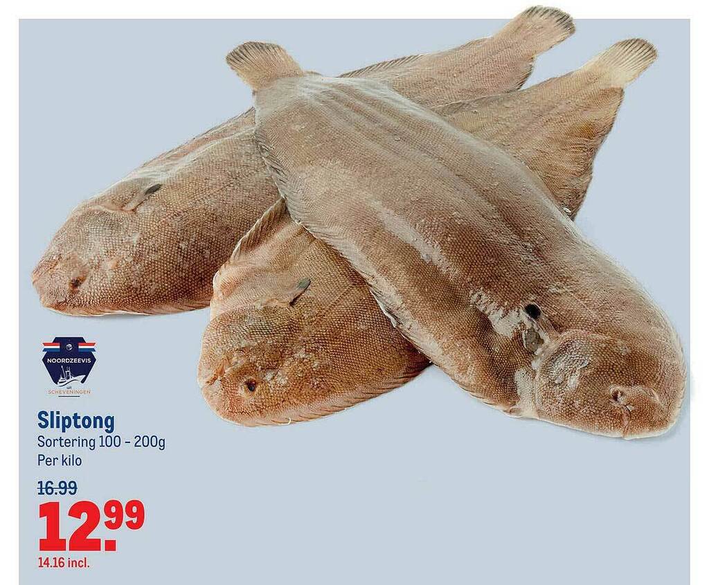 Sliptong 100-200 gram aanbieding bij Makro