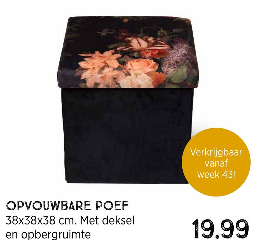 Opvouwbare poef aanbieding bij Xenos