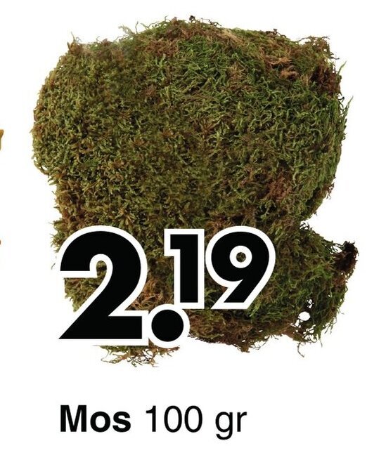 Mos 100 gr aanbieding bij Wibra