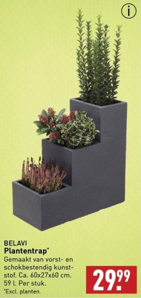 BELAVI Plantentrap aanbieding bij ALDI