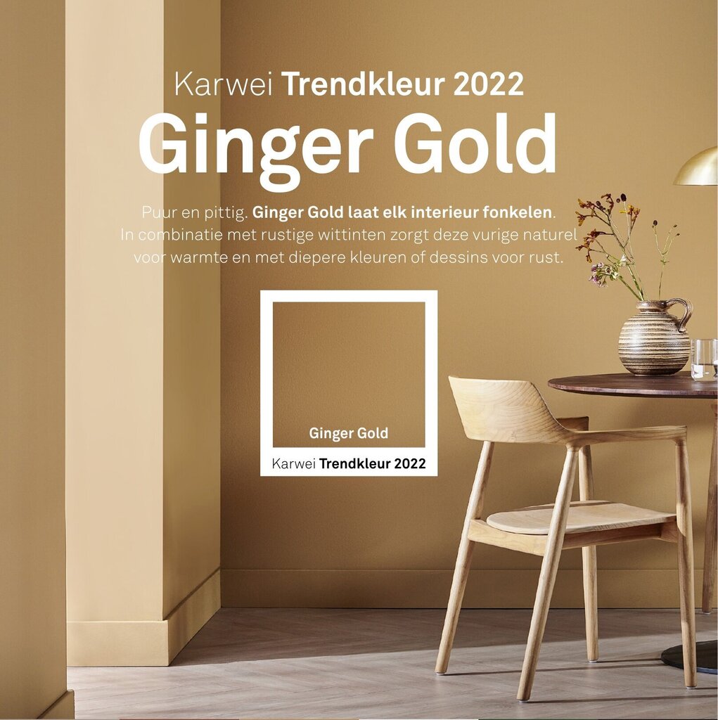 Ginger Gold aanbieding bij Karwei