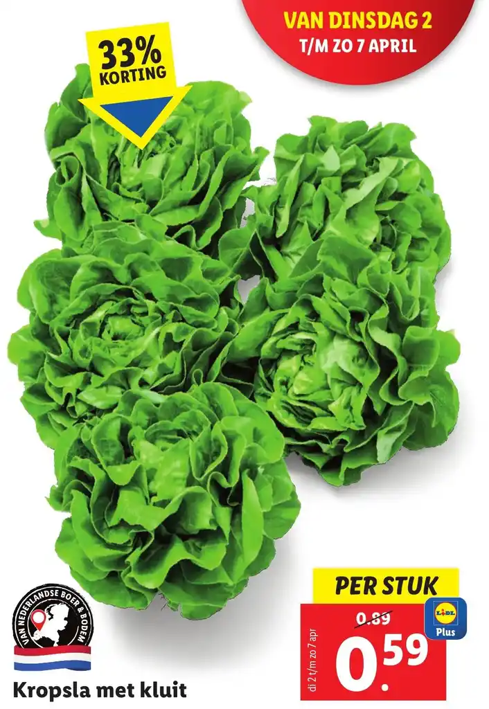 Kropsla met kluit per stuk aanbieding bij Lidl