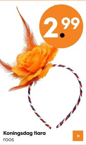 Koningsdag tiara roos aanbieding bij Blokker