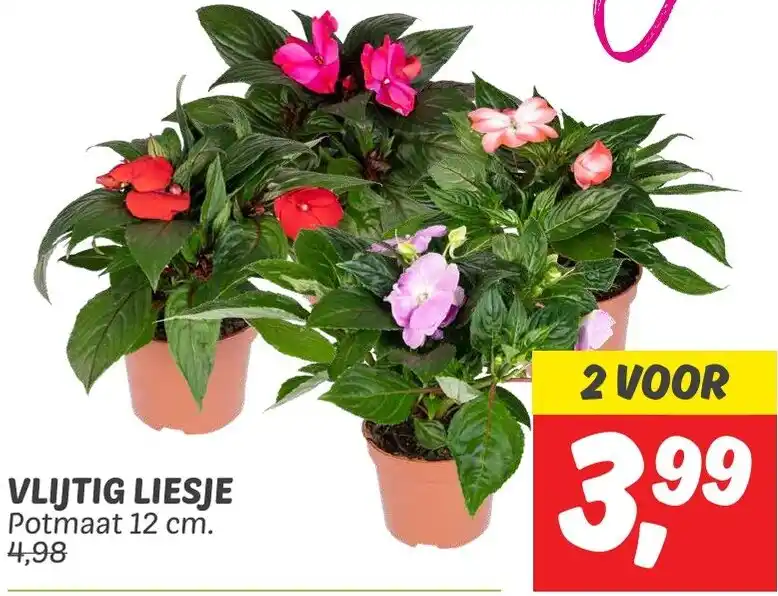 VLIJTIG LIESJE aanbieding bij Dekamarkt