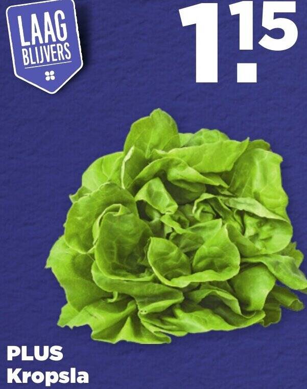 Kropsla aanbieding bij PLUS