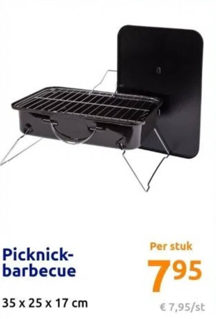 Picknick- barbecue 35 x 25 x 17 cm aanbieding bij Action