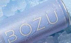 Bozu Hard Iced Tea Blueberry aanbieding bij Sligro