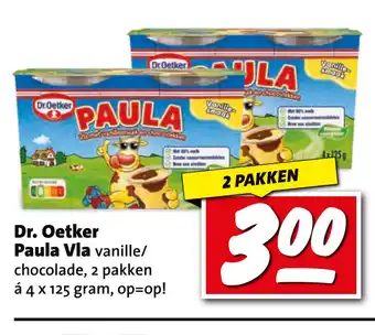 Dr Oetker Paula Vla vanille/ chocolade, 2 pakken á 4 x 125 gram ...
