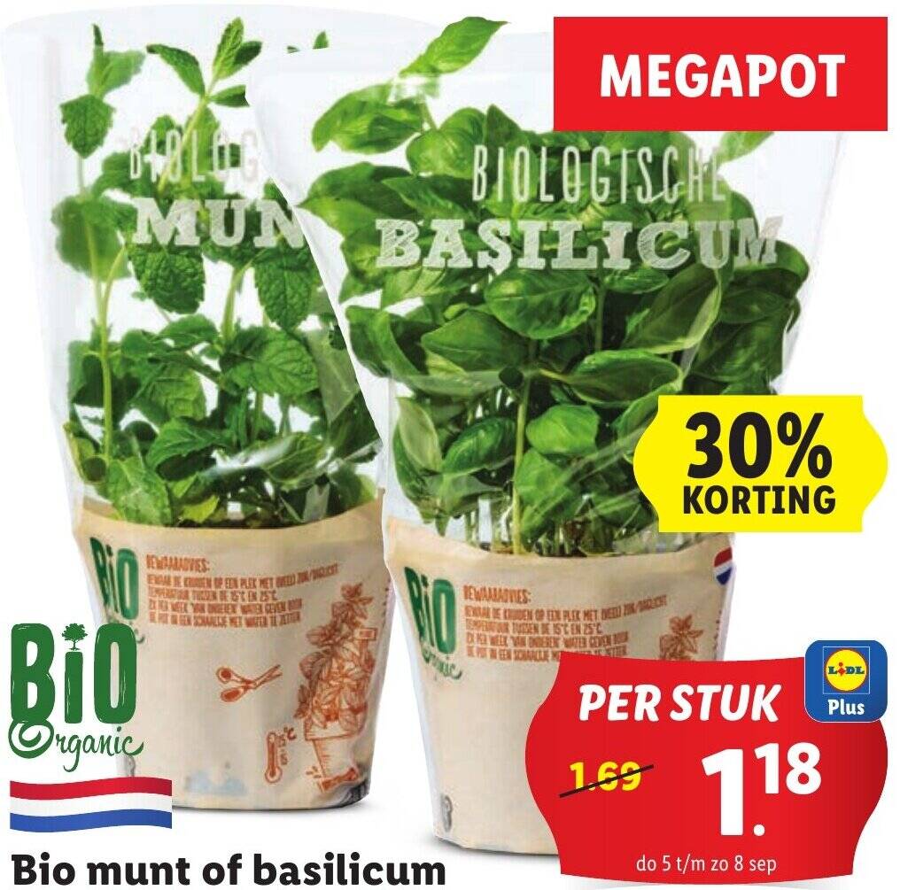Bio munt of basilicum Per stuk aanbieding bij Lidl
