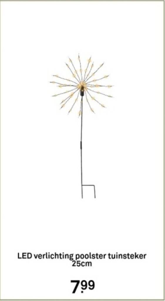 LED verlichting poolster tuinsteker 25 cm aanbieding bij Karwei