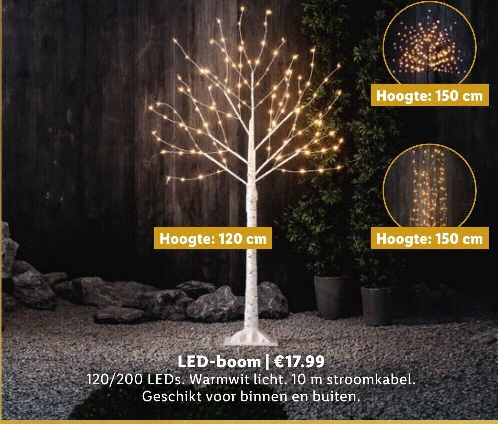 Led boom aanbieding bij Lidl