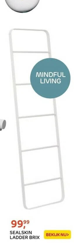 SEALSKIN LADDER BRIX aanbieding bij Praxis € 88,92