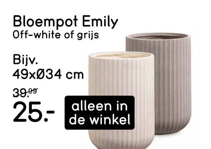 Bloempot Emily 49x034 cm aanbieding bij Leen Bakker