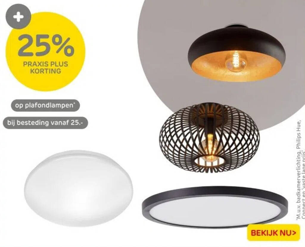 Op plafondlampen aanbieding bij Praxis