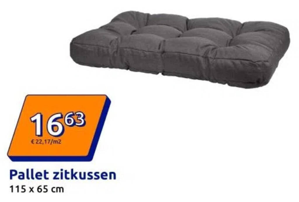 Pallet zitkussen 115 x 65 cm aanbieding bij Action