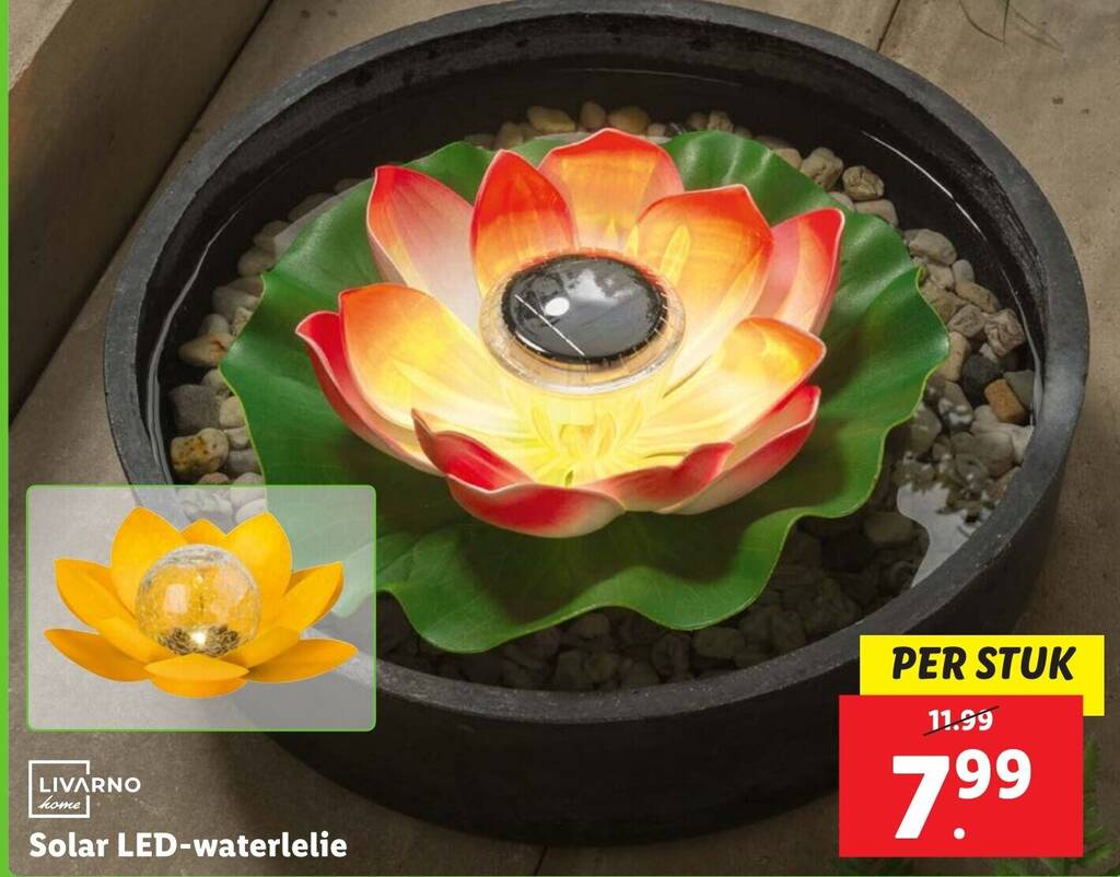Solar LED waterlelie aanbieding bij Lidl