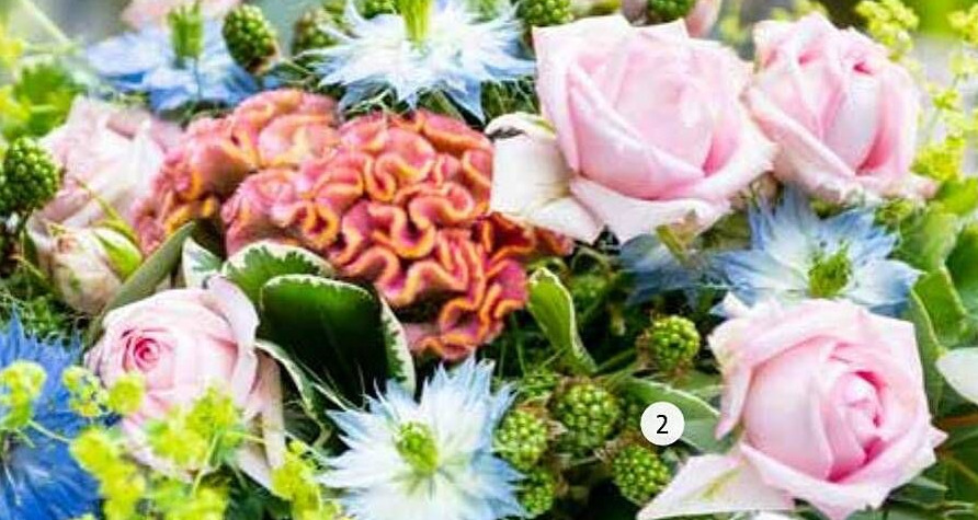 Losse snijbloemen aanbieding bij Intratuin