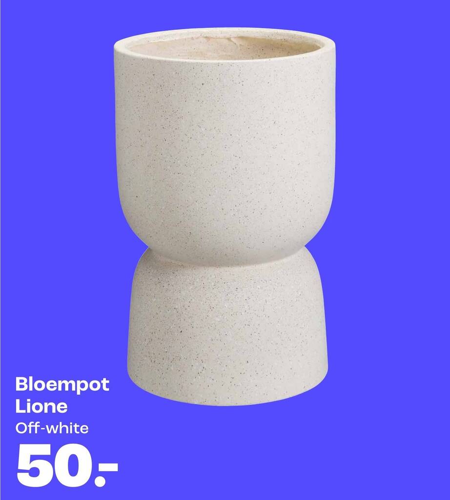 Bloempot Lione aanbieding bij Kwantum € 50,00 Geldig van 10-06-2025