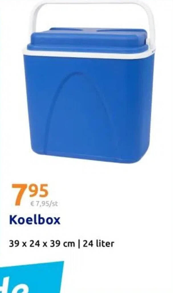 Koelbox 39 x 24 x 39 cm aanbieding bij Action