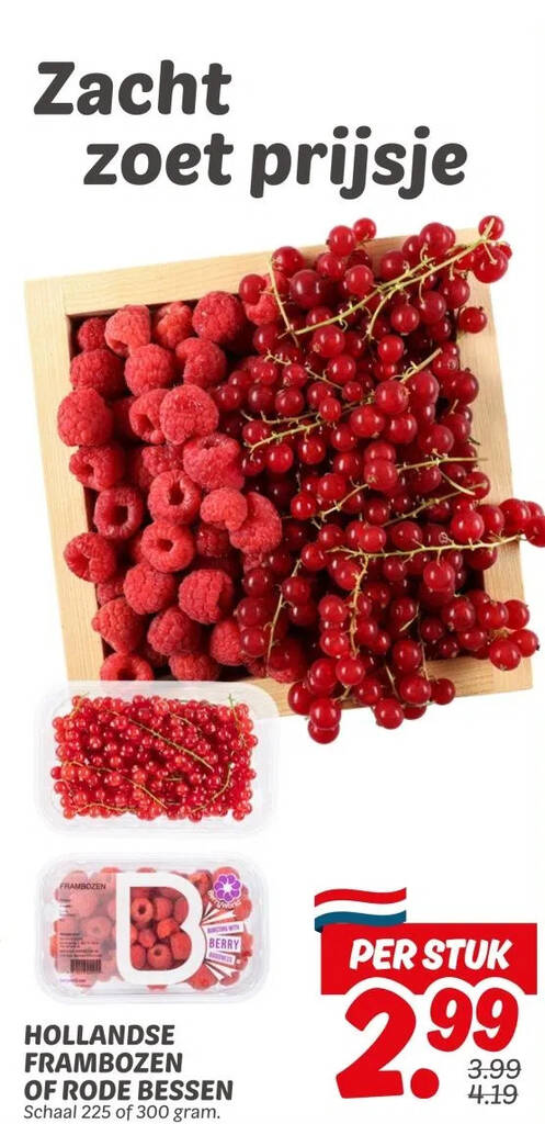 Hollandse frambozen of rode bessen aanbieding bij Dekamarkt