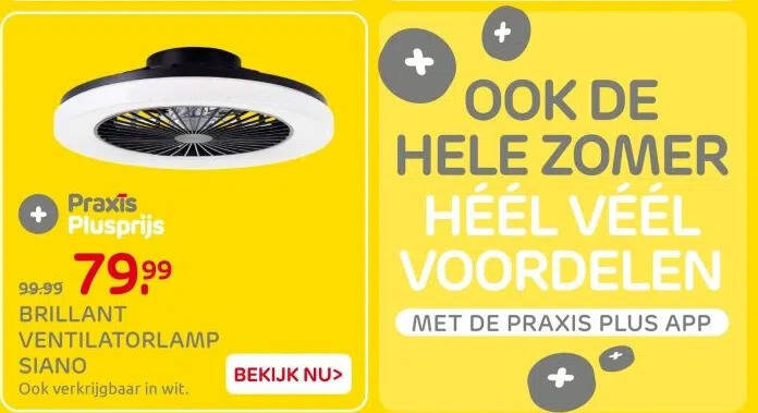 BRILLANT VENTILATORLAMP SIANO aanbieding bij Praxis
