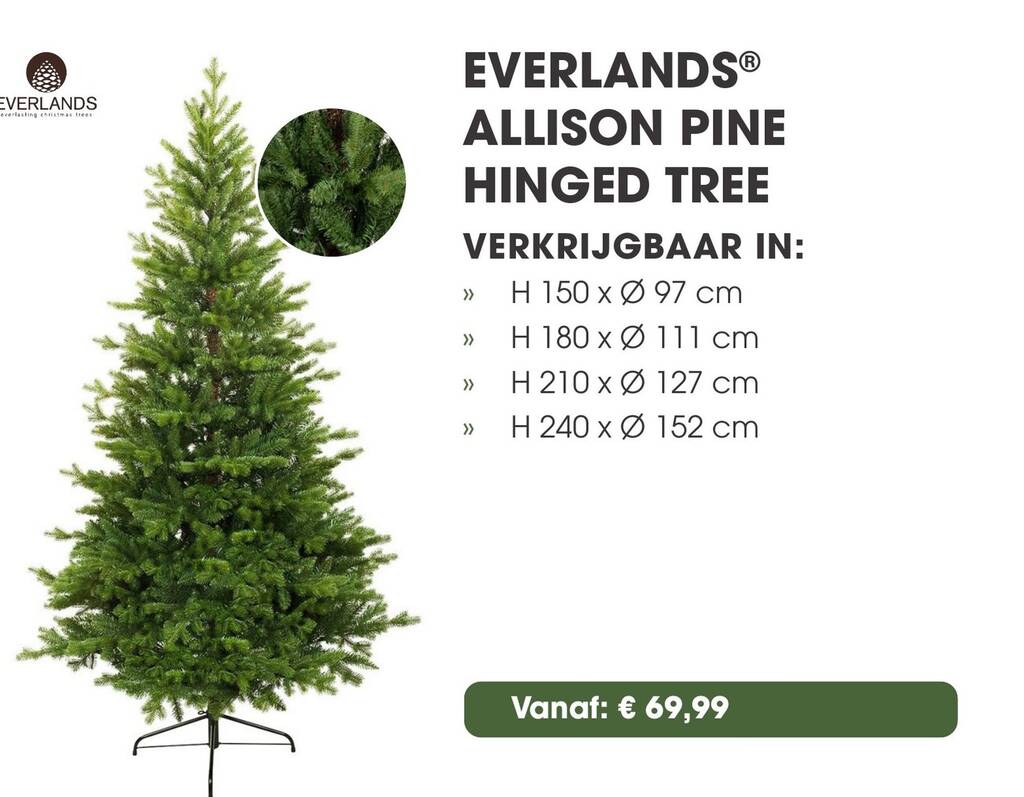 Everlands allison pine hinged tree 150 x 97 cm aanbieding bij Coppelmans