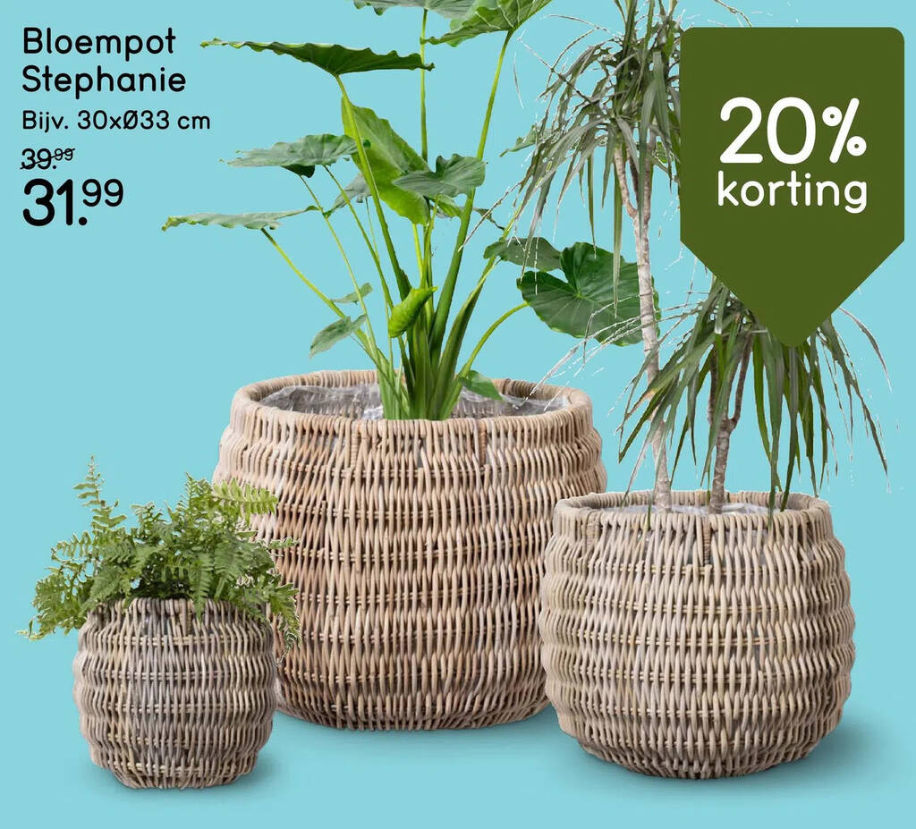 Bloempot Stephanie aanbieding bij Leen Bakker