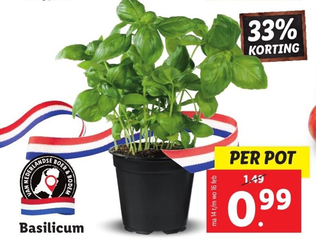 Basilicum aanbieding bij Lidl